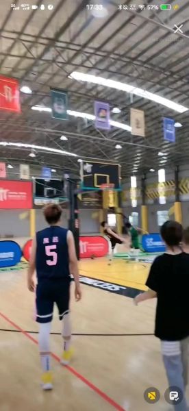 鲶鱼国宝打架_为什么打-第2张图片-山城妙识