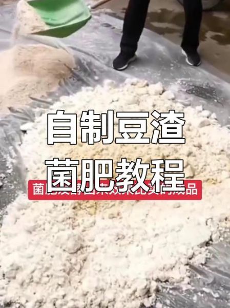 豆渣怎么发酵_豆渣发酵最简单的方法-第1张图片-山城妙识 豆渣怎么发酵_豆渣发酵最简单的方法-第1张图片-山城妙识