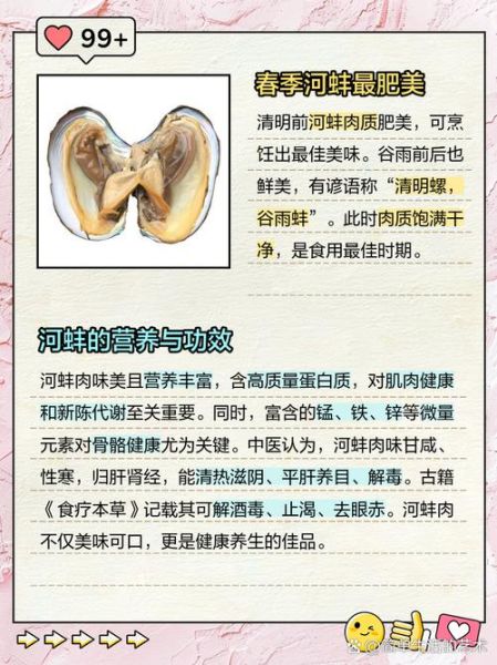 河蚌肉的功效与作用_河蚌肉怎么吃最营养-第2张图片-山城妙识