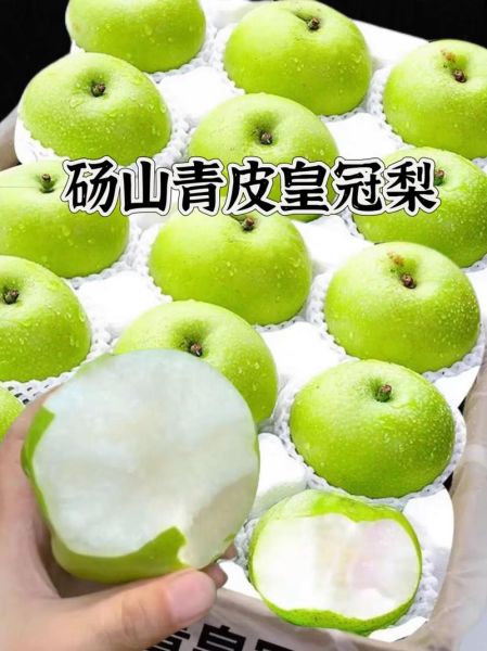 皇冠梨产地在哪里_皇冠梨哪里产的最好吃-第3张图片-山城妙识