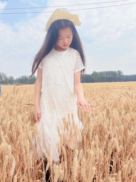 麦穗图片怎么拍好看_麦穗图片拍摄技巧-第3张图片-山城妙识 麦穗图片怎么拍好看_麦穗图片拍摄技巧-第3张图片-山城妙识