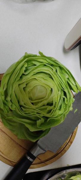 新鲜橄榄菜长什么样子_如何辨别真假橄榄菜-第1张图片-山城妙识 新鲜橄榄菜长什么样子_如何辨别真假橄榄菜-第1张图片-山城妙识