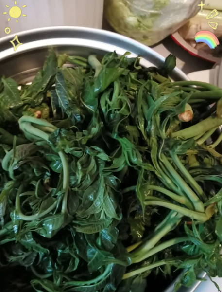 香椿怎么长期保存_香椿冷冻还是焯水好-第1张图片-山城妙识 香椿怎么长期保存_香椿冷冻还是焯水好-第1张图片-山城妙识