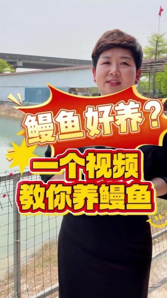 鳗鱼养殖技术_如何提高成活率-第1张图片-山城妙识 鳗鱼养殖技术_如何提高成活率-第1张图片-山城妙识