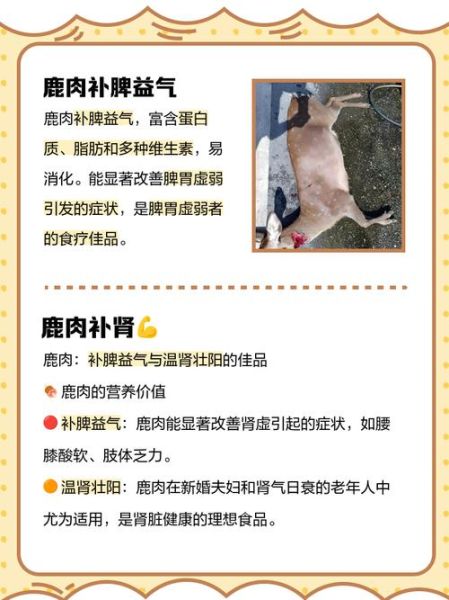 鹿肉的营养价值及功效_鹿肉怎么吃最补气血-第1张图片-山城妙识
