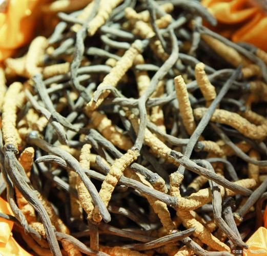 干茶树菇要泡多久才烂_怎么判断泡发到位-第3张图片-山城妙识