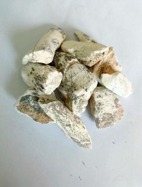 龙骨是什么骨头_龙骨在中医里指哪块骨骼-第2张图片-山城妙识