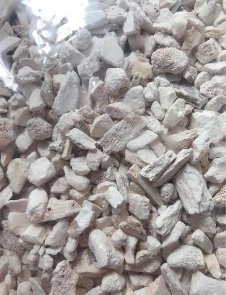 龙骨是什么骨头_龙骨在中医里指哪块骨骼-第3张图片-山城妙识