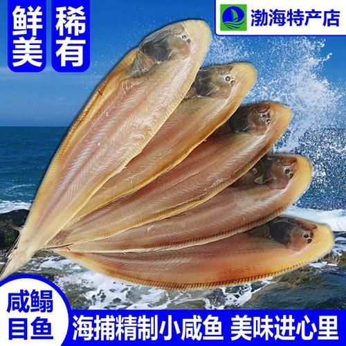 踏板鱼多少钱一斤_踏板鱼怎么做好吃-第2张图片-山城妙识