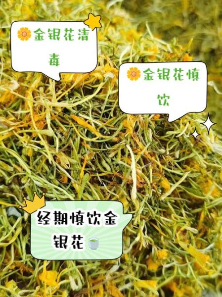 金银花泡水喝的禁忌_金银花泡水哪些人不能喝-第2张图片-山城妙识