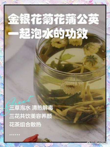 金银花泡水喝的禁忌_金银花泡水哪些人不能喝-第3张图片-山城妙识
