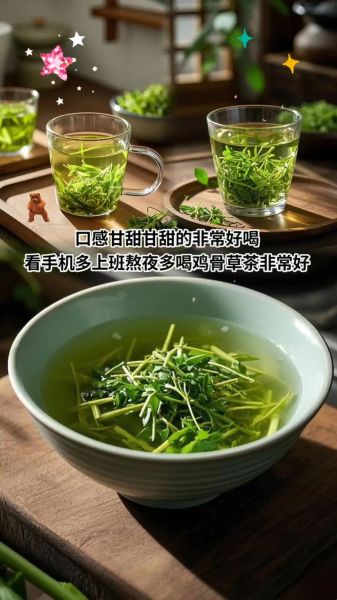 鸡骨草叶泡茶的功效_鸡骨草叶泡茶能长期喝吗-第1张图片-山城妙识 鸡骨草叶泡茶的功效_鸡骨草叶泡茶能长期喝吗-第1张图片-山城妙识
