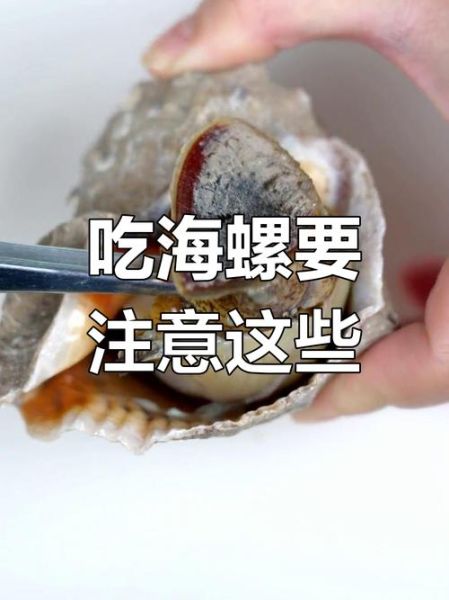 海螺哪里不能吃图解_海螺内脏怎么区分-第1张图片-山城妙识 海螺哪里不能吃图解_海螺内脏怎么区分-第1张图片-山城妙识