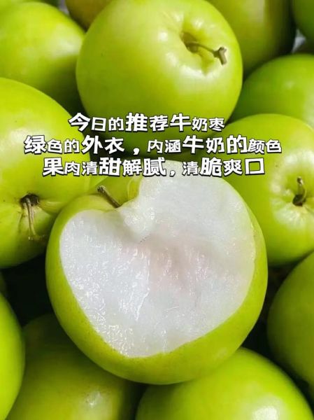 牛奶枣什么时候吃最好_牛奶枣热量高吗-第2张图片-山城妙识 牛奶枣什么时候吃最好_牛奶枣热量高吗-第2张图片-山城妙识