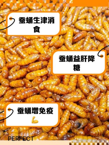 吃蚕蛹有什么好处_蚕蛹的营养价值有哪些-第1张图片-山城妙识