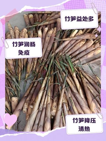 鲜竹笋的营养价值_鲜竹笋怎么吃不寒凉-第1张图片-山城妙识 鲜竹笋的营养价值_鲜竹笋怎么吃不寒凉-第1张图片-山城妙识