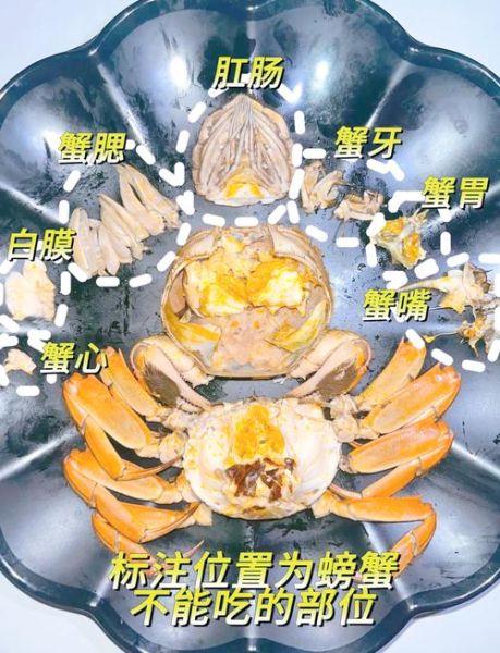 大闸蟹怎么做不腥_去腥技巧全攻略-第1张图片-山城妙识 大闸蟹怎么做不腥_去腥技巧全攻略-第1张图片-山城妙识