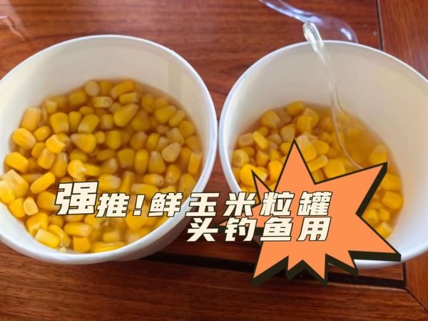 甜玉米罐头钓鱼好用吗_甜玉米罐头钓鱼效果怎么样-第1张图片-山城妙识 甜玉米罐头钓鱼好用吗_甜玉米罐头钓鱼效果怎么样-第1张图片-山城妙识