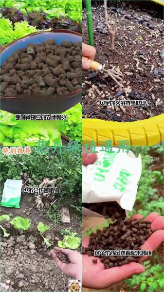 豆渣发酵肥料怎么做_豆渣沤肥要多久-第3张图片-山城妙识