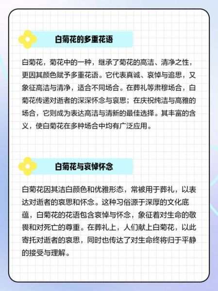 白菊花的花语是什么_白菊花适合送什么人-第3张图片-山城妙识 白菊花的花语是什么_白菊花适合送什么人-第3张图片-山城妙识