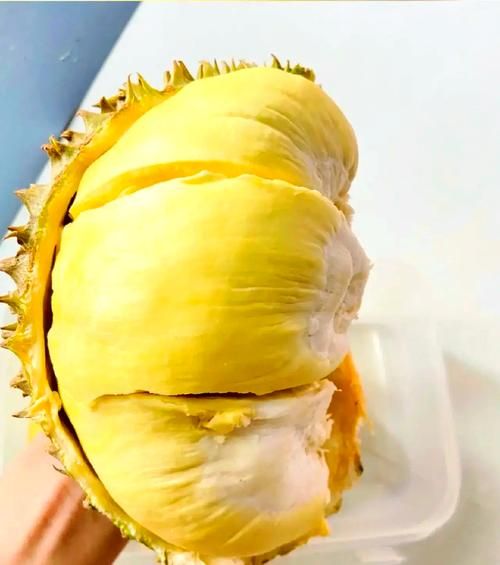 榴莲怎么开三角口_榴莲三角口正确开法-第3张图片-山城妙识 榴莲怎么开三角口_榴莲三角口正确开法-第3张图片-山城妙识