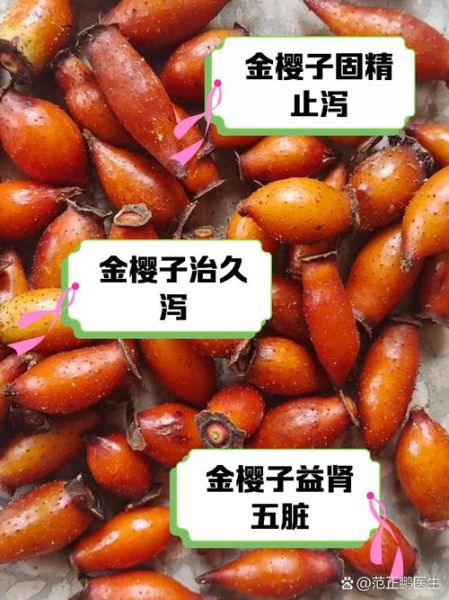金樱子对女人的作用_女人吃金樱子有什么好处-第1张图片-山城妙识 金樱子对女人的作用_女人吃金樱子有什么好处-第1张图片-山城妙识