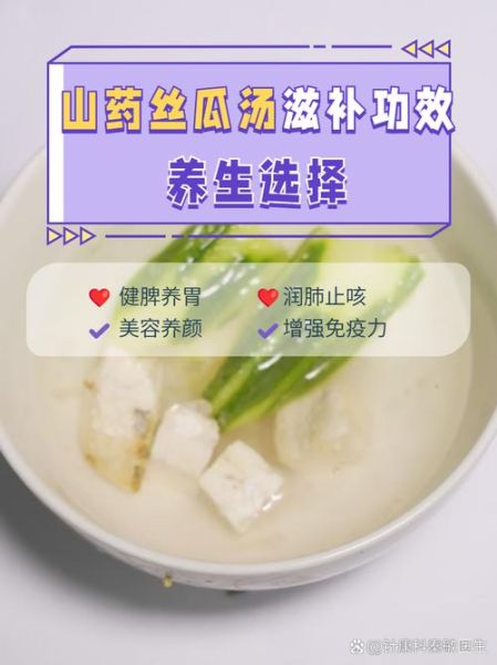 冬瓜山药汤的功效与禁忌_适合什么人喝-第1张图片-山城妙识 冬瓜山药汤的功效与禁忌_适合什么人喝-第1张图片-山城妙识