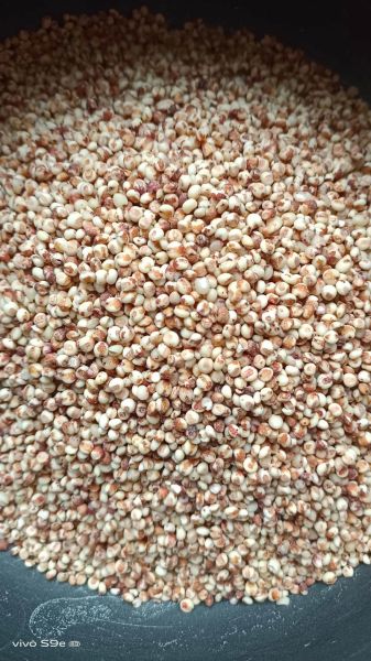 高血压能吃高粱米吗_高粱米升血压真相-第3张图片-山城妙识 高血压能吃高粱米吗_高粱米升血压真相-第3张图片-山城妙识