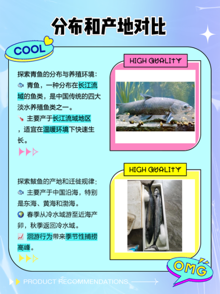 鲅鱼和青鱼的区别_怎么分辨鲅鱼青鱼-第1张图片-山城妙识