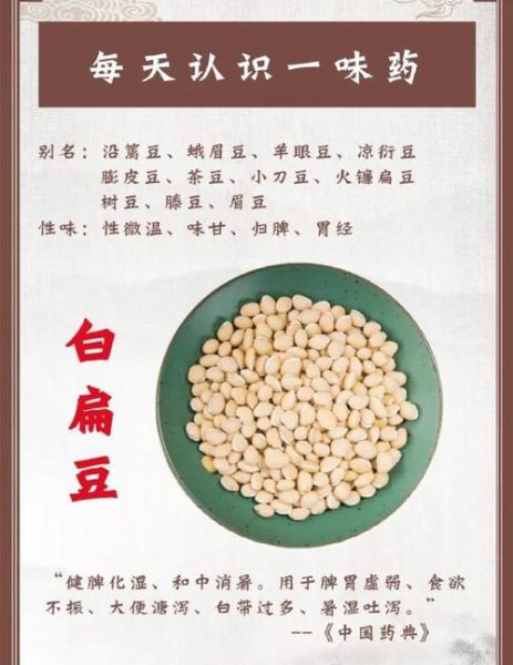长期吃白扁豆的害处_白扁豆吃多了会怎样-第1张图片-山城妙识 长期吃白扁豆的害处_白扁豆吃多了会怎样-第1张图片-山城妙识