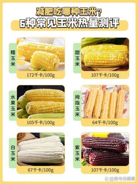 玉米的热量高不高_减肥能吃玉米吗-第2张图片-山城妙识 玉米的热量高不高_减肥能吃玉米吗-第2张图片-山城妙识