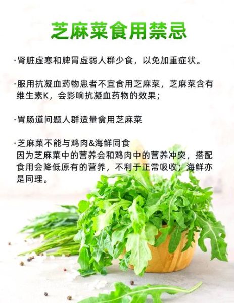 芝麻菜可以生吃吗_芝麻菜生吃安全吗-第1张图片-山城妙识