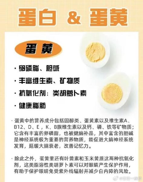 蛋清和蛋黄哪个更有营养_健身增肌吃哪个-第1张图片-山城妙识 蛋清和蛋黄哪个更有营养_健身增肌吃哪个-第1张图片-山城妙识