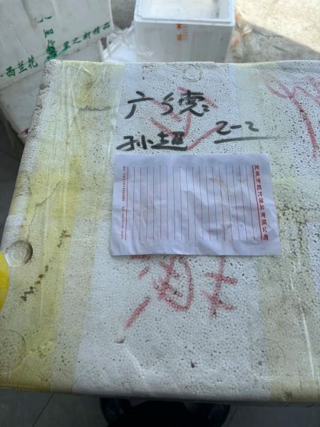 附近桂鱼苗哪里有卖_桂鱼苗价格多少钱一斤-第2张图片-山城妙识 附近桂鱼苗哪里有卖_桂鱼苗价格多少钱一斤-第2张图片-山城妙识