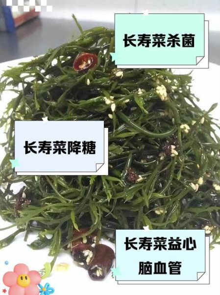海藻长寿菜的功效与作用_怎么吃最养生-第1张图片-山城妙识