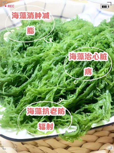 海藻长寿菜的功效与作用_怎么吃最养生-第2张图片-山城妙识