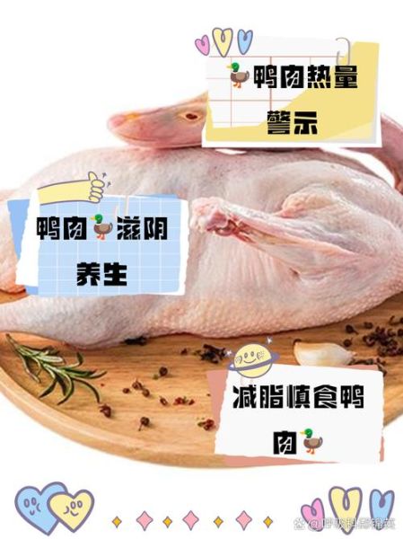 鸭肉的热量是多少_减肥能吃鸭肉吗-第1张图片-山城妙识 鸭肉的热量是多少_减肥能吃鸭肉吗-第1张图片-山城妙识