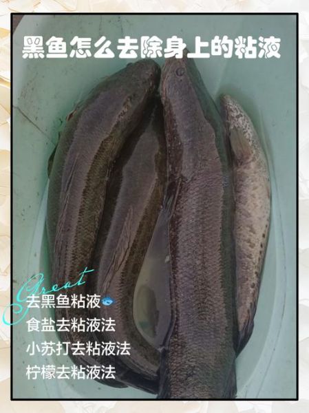 黑鱼怎么做好吃_黑鱼去腥技巧-第3张图片-山城妙识 黑鱼怎么做好吃_黑鱼去腥技巧-第3张图片-山城妙识