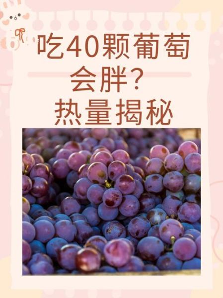 葡萄热量高吗_葡萄减肥能吃吗-第2张图片-山城妙识 葡萄热量高吗_葡萄减肥能吃吗-第2张图片-山城妙识