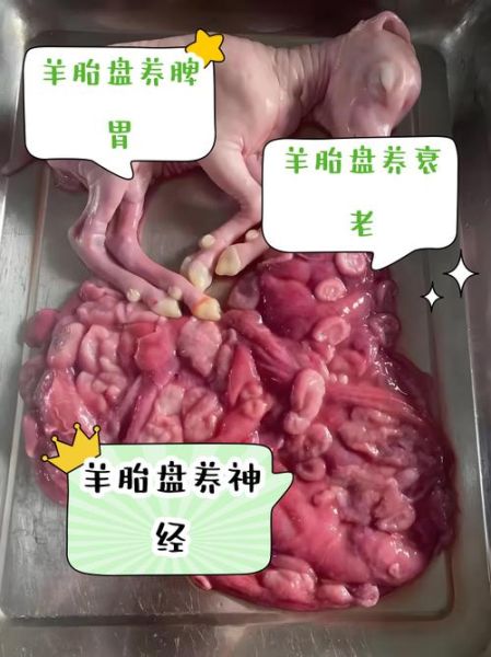 羊胎盘的功效与作用_羊胎盘怎么吃效果最好-第3张图片-山城妙识 羊胎盘的功效与作用_羊胎盘怎么吃效果最好-第3张图片-山城妙识