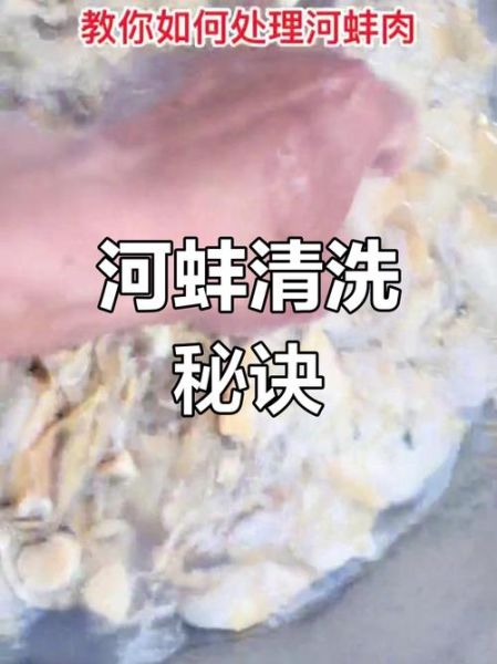 蒸河蚌的做法_蒸河蚌怎么清洗才干净-第1张图片-山城妙识 蒸河蚌的做法_蒸河蚌怎么清洗才干净-第1张图片-山城妙识