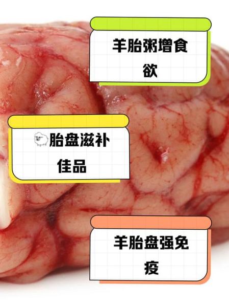 羊胎盘的功效与作用_羊胎盘怎么吃效果最好-第2张图片-山城妙识 羊胎盘的功效与作用_羊胎盘怎么吃效果最好-第2张图片-山城妙识