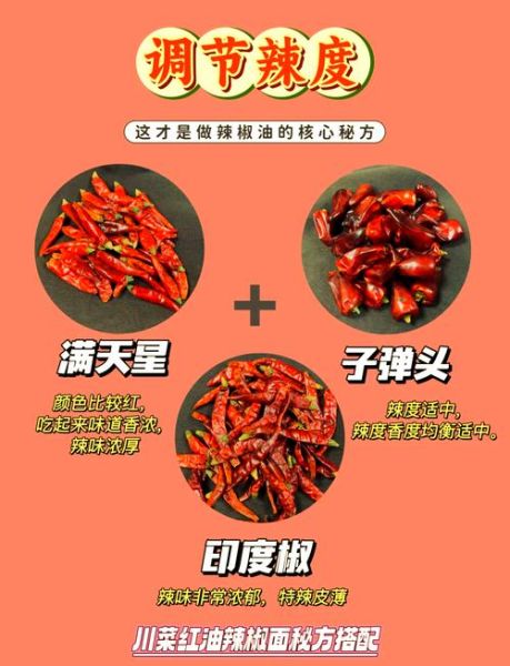 红油辣椒怎么做_正宗川味红油配方-第3张图片-山城妙识 红油辣椒怎么做_正宗川味红油配方-第3张图片-山城妙识