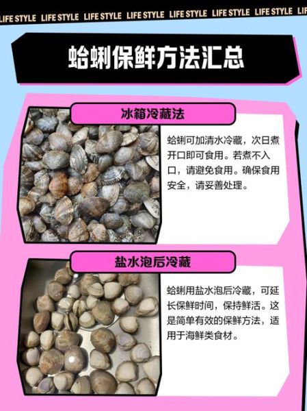 蛤蜊当天不吃如何保存_蛤蜊隔夜还能吃吗-第1张图片-山城妙识 蛤蜊当天不吃如何保存_蛤蜊隔夜还能吃吗-第1张图片-山城妙识