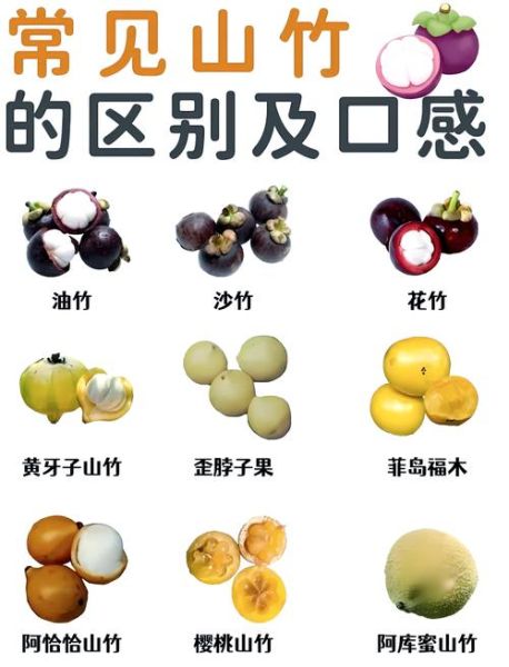 宝宝吃山竹禁忌_宝宝多大可以吃山竹-第1张图片-山城妙识 宝宝吃山竹禁忌_宝宝多大可以吃山竹-第1张图片-山城妙识