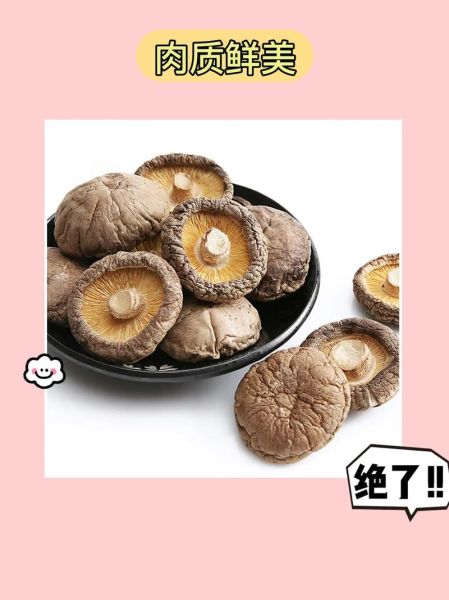 香菇和冬菇的区别哪个好_怎么选更营养-第3张图片-山城妙识 香菇和冬菇的区别哪个好_怎么选更营养-第3张图片-山城妙识