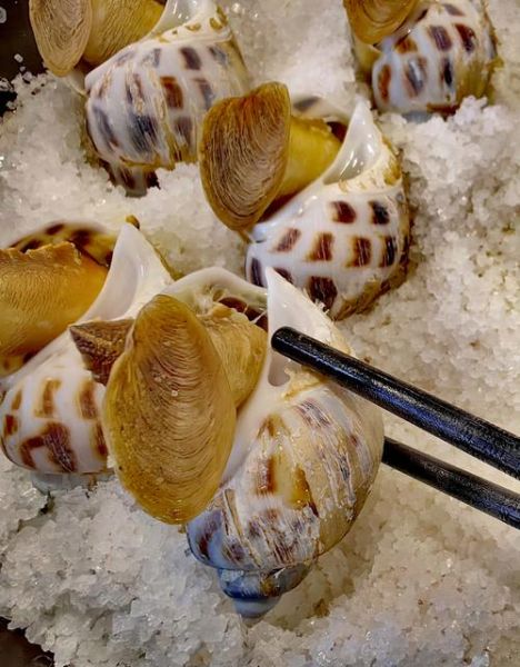 东风螺怎么做好吃_东风螺最鲜嫩的吃法-第1张图片-山城妙识 东风螺怎么做好吃_东风螺最鲜嫩的吃法-第1张图片-山城妙识