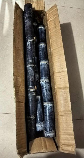 烤甘蔗中毒症状_烤甘蔗中毒怎么办-第1张图片-山城妙识 烤甘蔗中毒症状_烤甘蔗中毒怎么办-第1张图片-山城妙识