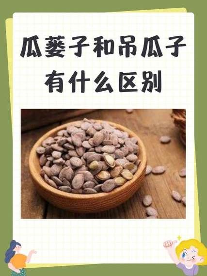 瓜蒌子和吊瓜子有什么区别_哪个更好吃-第2张图片-山城妙识 瓜蒌子和吊瓜子有什么区别_哪个更好吃-第2张图片-山城妙识