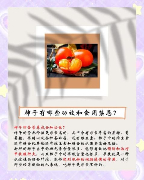 柿子的营养价值和功效与作用_吃柿子有哪些禁忌-第2张图片-山城妙识